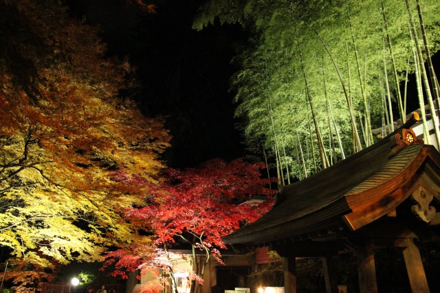 10 Best Places for Autumn Leaves in Sendai | SeeingJapan